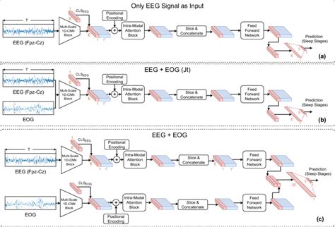 The Variants Of The Epoch Level Model Used To Conduct The Ablation Download Scientific Diagram