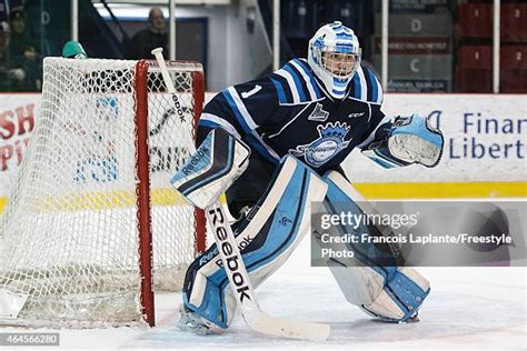 Robert Phaneuf Photos And Premium High Res Pictures Getty Images