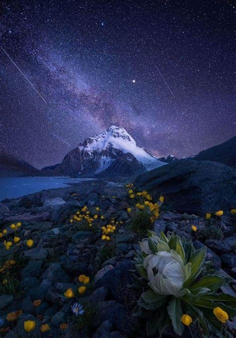 Dreamy Landscapes At Night Inspired By Space Stars And Video Games
