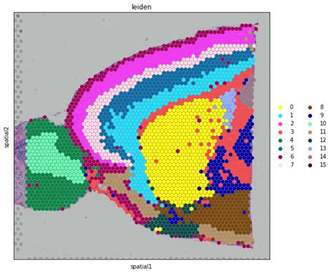 Analysis Of 10x Visium Mouse Brain Slice — Spasrl 0 1 2 Documentation