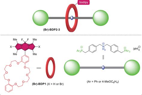 Triarylphosphonium Bodipy‐based 2 Rotaxanes Nanoparticles For Light‐driven Antibacterial