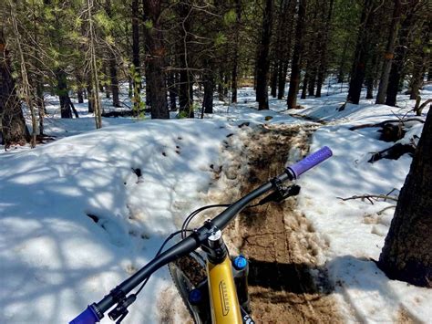 A To Z Guide To Mountain Bike Brands Pros And Cons Of Each