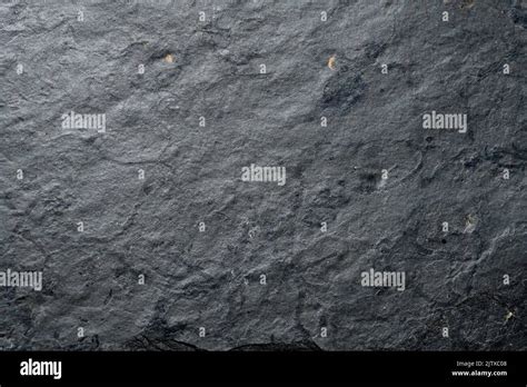 Cambrian Fossil Algae Hi Res Stock Photography And Images Alamy