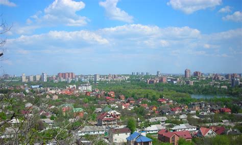 Lepidophloios Fossil Hunting Trips The Fossil Forum