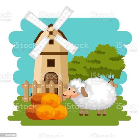 농장 현장에서 양입니다 음식 및 건강 한 생활 국가 자연에 대 한 개념 유기 음식입니다 평면 벡터 일러스트 레이 션 0명에 대한 스톡 벡터 아트 및 기타 이미지 Istock