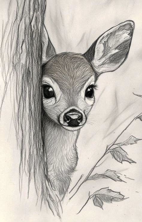 5 Inspiring Nature Drawing Ideas For Artistic Creativity