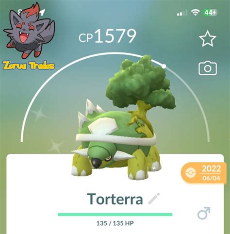 Pokemon Torterra Shiny Gen 8] Started A New Legends Arceus File To