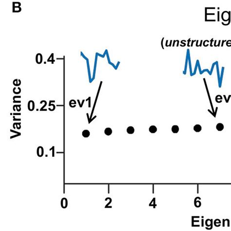 Stc Analysis A An Example Of A Stc Matrix Of A Representative Download Scientific Diagram