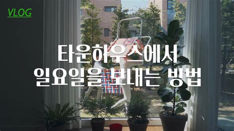 일요일의 타운하우스 작은 정원 가꾸기와 초보 가드닝 Youtube