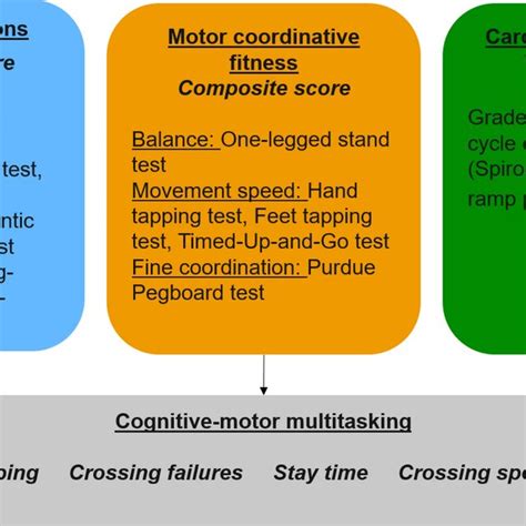 Overview Of The Assessment Of Executive Functions Motor Coordinative Download Scientific