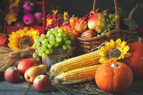 Fall Harvest Festival At The Historic Village At Allaire To Celebrate
