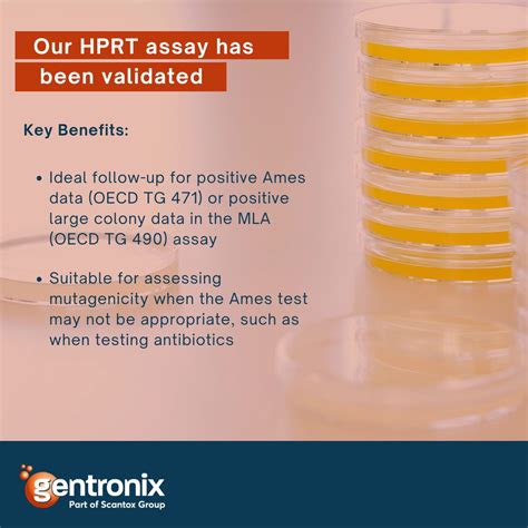 Our New Hprt Assay Has Been Validated And Is Now Available 🧬 The Hprt Assay Is A Powerful