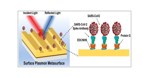 Large Scale Functionalized Metasurface Based Sars Cov 2 Detection And Quantification Acs Nano