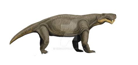 Inostrancevia Facts And Pictures