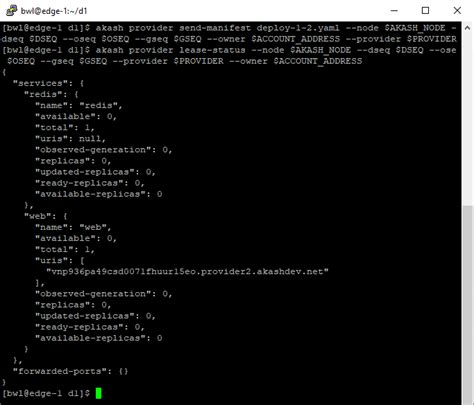 Deploying Application On Akash Network Bwlnet Akash Validator