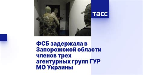ФСБ задержала в Запорожской области членов трех агентурных групп ГУР МО Украины