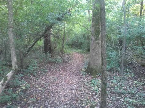John Bryan State Park Photos