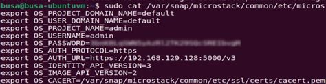 My First Openstack Project Deploying A Vm With Microstack On Ubuntu