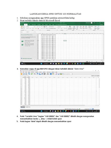 langkah kerja spss untuk uji normalitas pdf