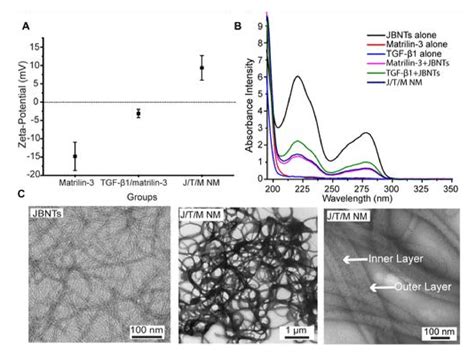 Fabrication And Characterization Of Layer By Layer Janus Base Nano
