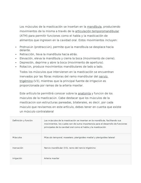 Resúmenes De Anatomía Esquemas Y Mapas Conceptuales De Anatomía