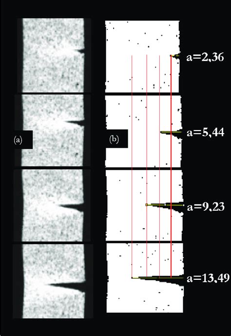 sequence of images following crack length a 8 bit grayscale images