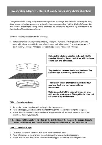 Inheritance A Complete Set Of Resources For Edexcel Igcse Biology Teaching Resources