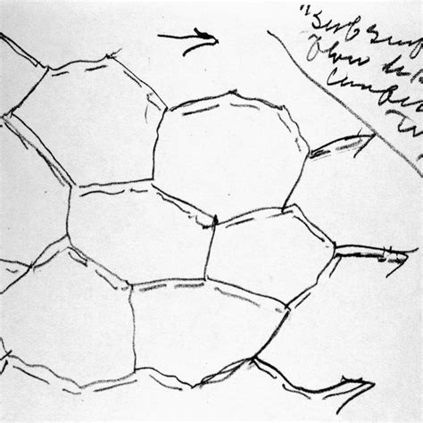 Figure Explaining Lateral Subsurface Flow In Sun Cracks As Concealed Download Scientific