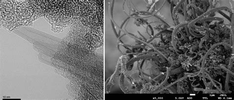Scanning Electron Microscope Vs Transmission Electron Microscope Car