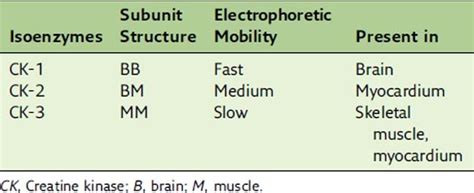 Plasma Proteins Basicmedical Key