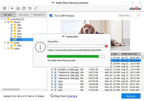Recover LOST DIR Files