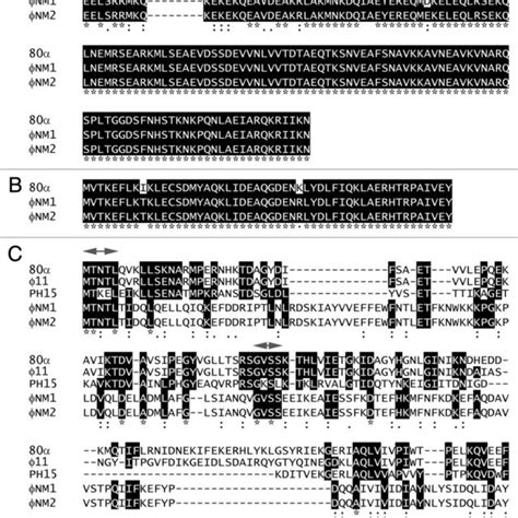 Multiple Protein Sequence Alignments Of Pertinent Gene Products From