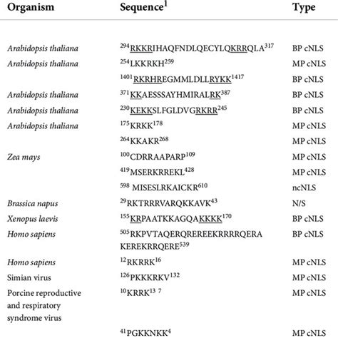 Schematic Representation Of A Plant Nucleus Showing The Nucleolus Dark Download Scientific