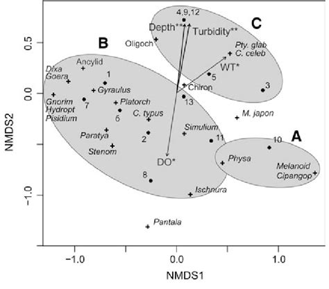 Non Metric Multi Dimensional Scaling Nmds Ordination Diagram For The Download Scientific