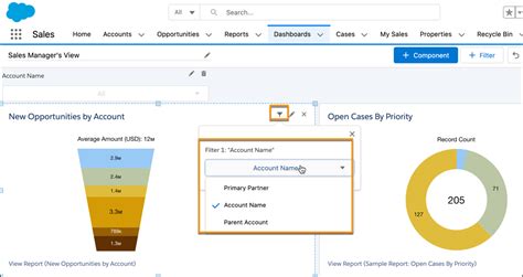 Dashboard Filter Examples