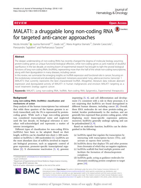 Malat1 A Druggable Long Non Coding Rna For Targete Pdf Regulation Of Gene Expression Micro Rna
