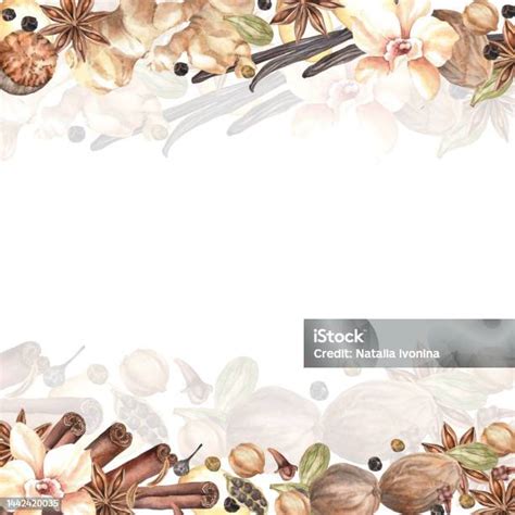 향신료 수채화 집합 클립 아트에 대 한 그림입니다 메뉴 요리 블로그 포장 섬유 웹 디자인 사이트 스티커 초대장 패턴 로고 용으로 설계되었습니다 손으로 그렸습니다 개체 그룹에