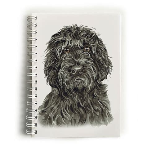 Cockapoo Archives Waggydogz