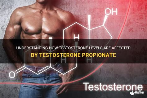 Understanding How Testosterone Levels Are Affected By Testosterone Propionate MedShun