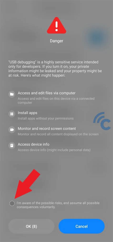Apa Itu Developer Options Dan Bagaimana Cara Kerjanya