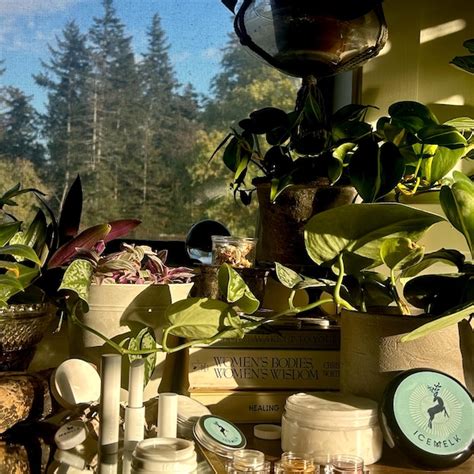 Tumeric Chai Latte Tallow Lip Balm Grass Fed All Natural Recyclable