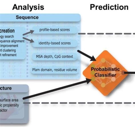 a method and server for predicting damaging missense mutations