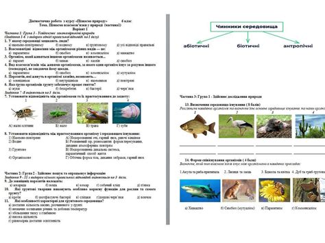 Підсумкова діагностична робота Пізнаємо природу 6 клас Тема 4 Вивчаємо живу природу Землі