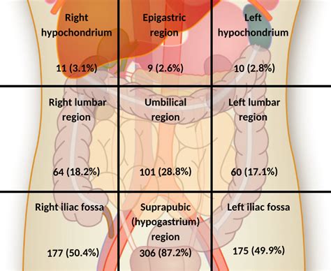 Genital Changes Periods And Pelvic Pain In People Using Testosterone