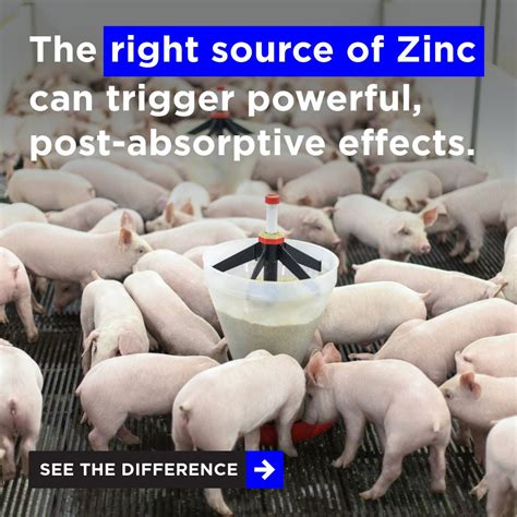 Zinpro Corporation On Linkedin Trace Minerals Make Up Less Than 1 Of