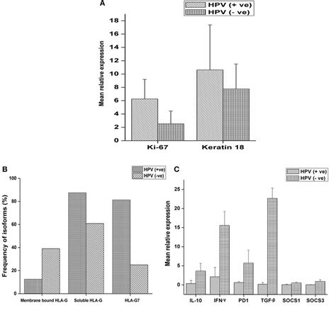 MRNA Expression Profile Of Target Genes And Expression Of HLA G Download Scientific Diagram