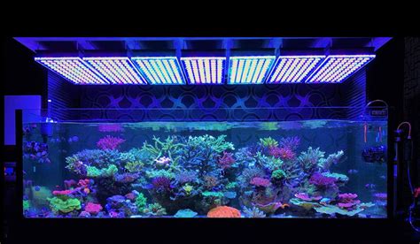 Aquarium Lighting