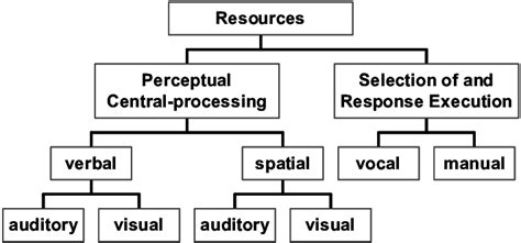 Multiple Resource Model Wickens 1992 Download Scientific Diagram