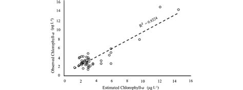 Validation Of Model B By Using The Observed And Estimated Chlorophyll A Download Scientific